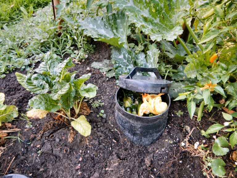 Getting started with worm farms | Gardening With Angus